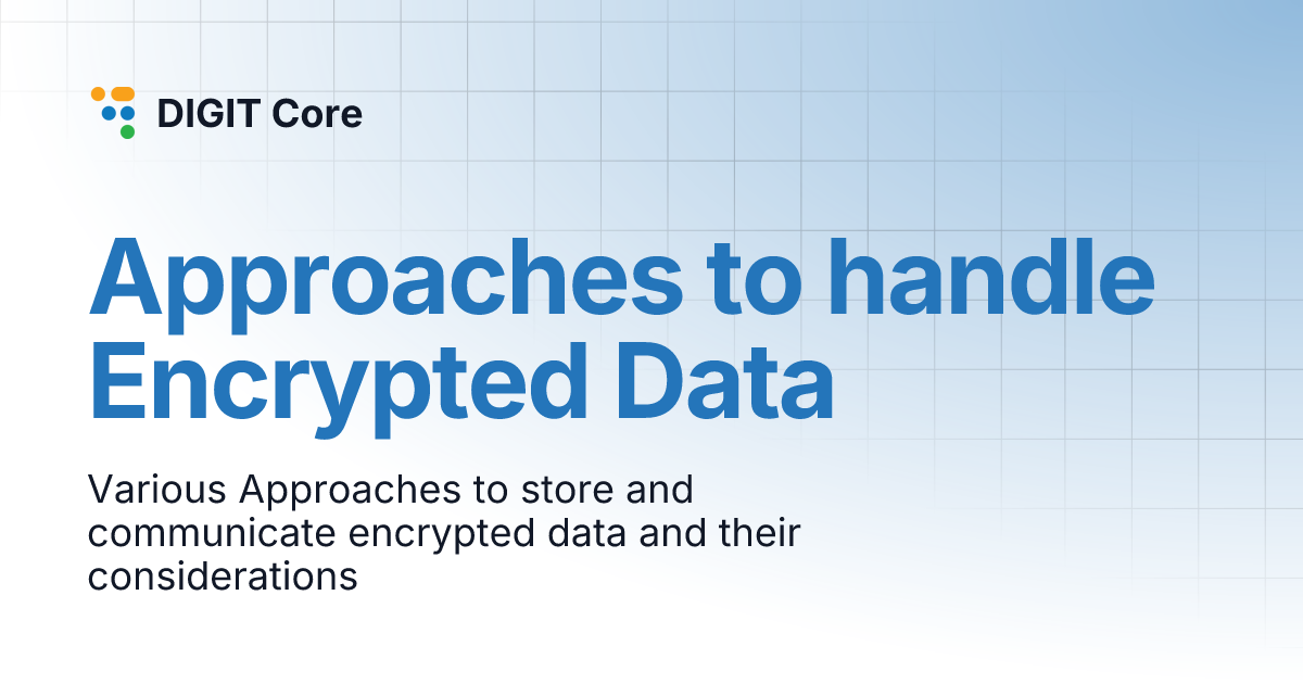 Approaches to handle Encrypted Data | DIGIT Core
